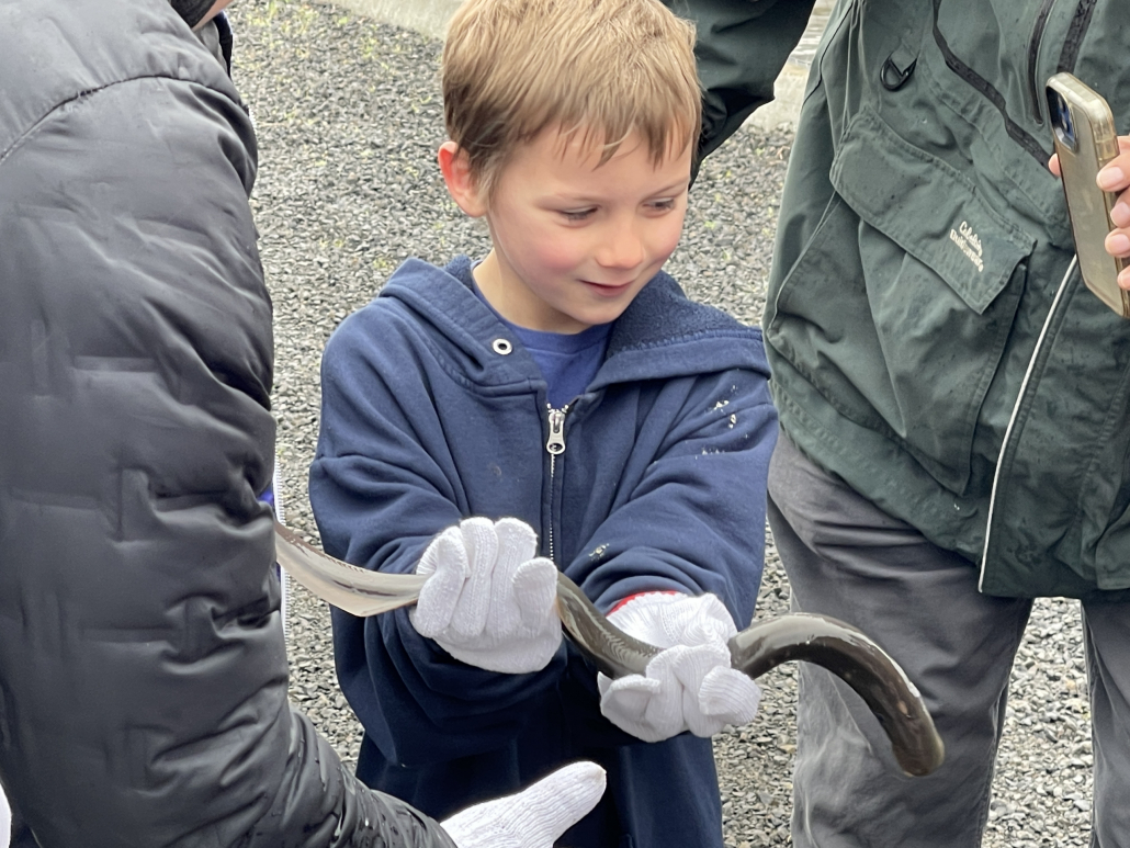 Pendleton Early Learning Center Salmon Field Trip - Pendleton Early ...
